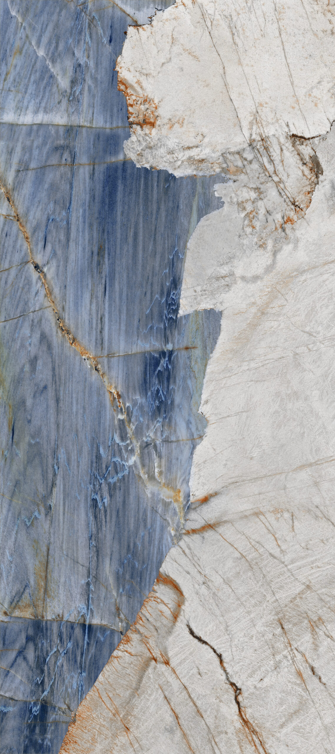 Botanic Blue - Laatat - Caisla